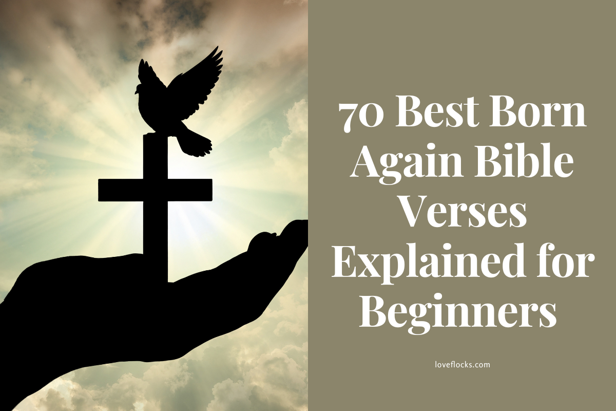 70 Best Born Again Bible Verses Explained for Beginners