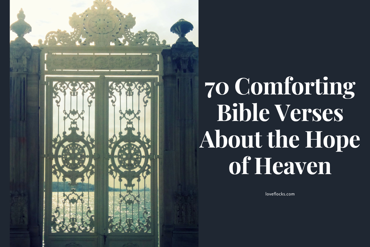70 Comforting Bible Verses About The Hope Of Heaven
