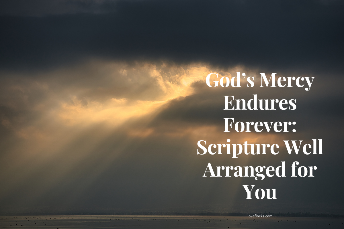 God’s Mercy Endures Forever: Scripture Well Arranged For You