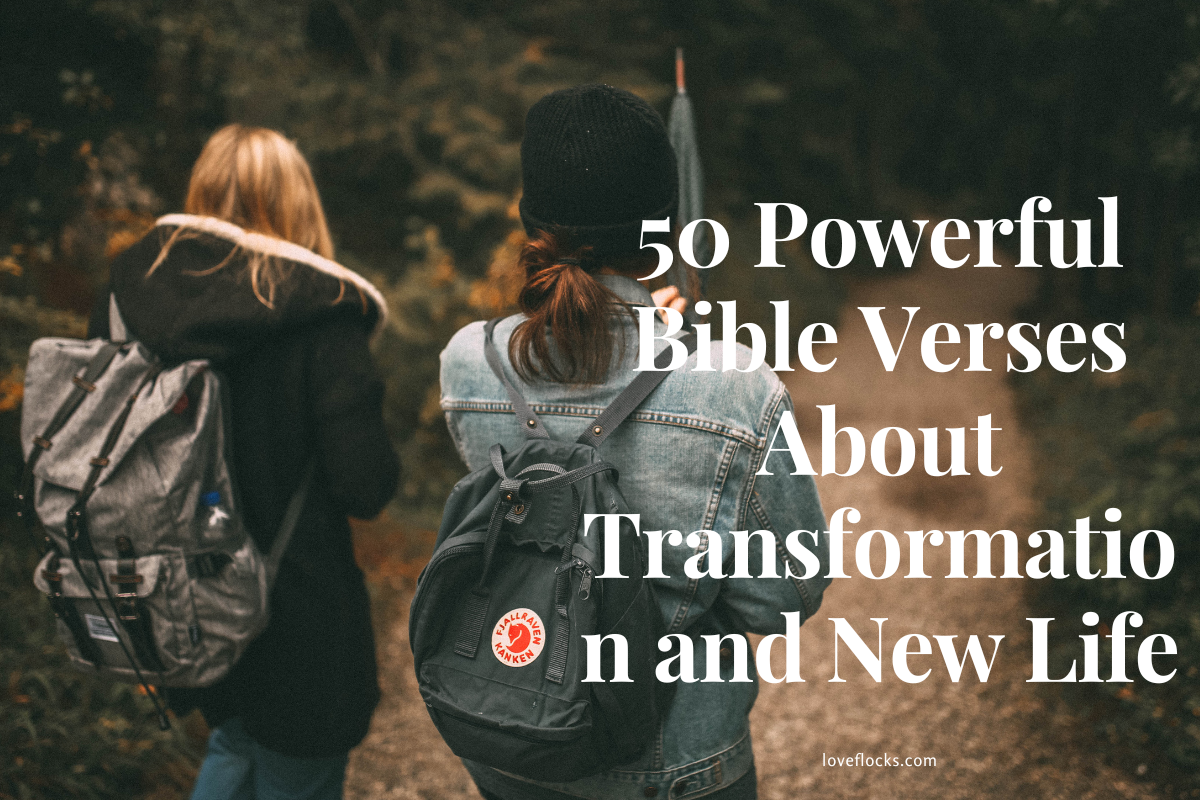 50 Powerful Bible Verses About Transformation and New Life